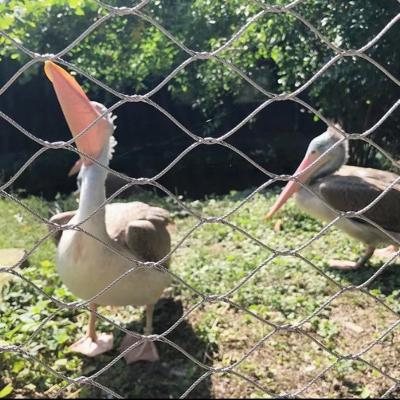 China Ferrule Wire Rope Stainless Steel Cable Mesh for Zoo Bird Aviary Net for sale