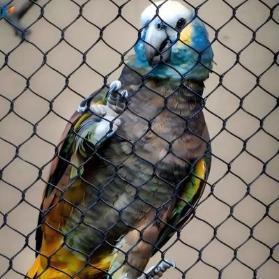China SS 304 316 Zoo Fencing Mesh Flexible Cable Wire Netting For Bird Aviary for sale