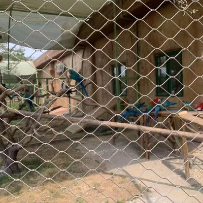 China 304  316L Stainless Steel Mesh Netting Aviary Mesh Zoo Wire Rope Mesh for sale