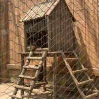 China Stainless Steel Cable Mesh For Aviary Outdoor Animal Fencing for sale