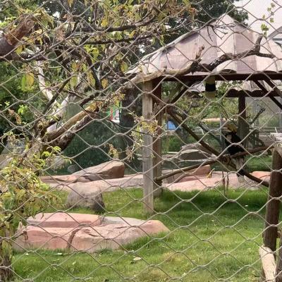 China Stainless Steel Wire Rope Mesh Net Outdoor Aviary Netting Protecting Mesh for sale