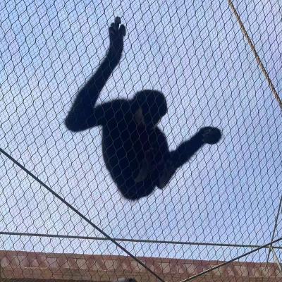China Stainless Steel Wire Rope Zoo Fencing Mesh Flexible Cable Netting For Bird Aviary for sale