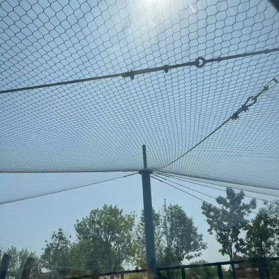 China 50mm Stainless Steel Wire Rope Mesh for Zoo Aviary Netting - 304/316 Grade for sale
