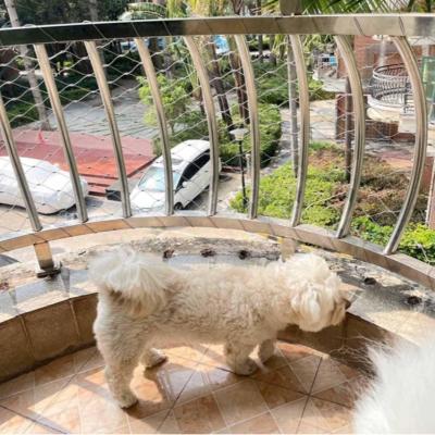 China Flexible Stainless Steel Wire Rope Mesh for Zoo Security Fence Aviary Protective Net for sale