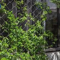 China SS304 Stainless Steel X Tend Rope Net Decorative Plants Climbing Support for sale