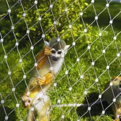 China Bite Resistant Black Oxide Stainless Steel Wire Rope Mesh with Good Light Transmission for Zoo Animal Cages for sale