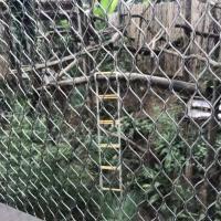 China Customized Stainless Steel Wire Rope Mesh with Anti-Corrosion SUS 304/316 and High Strength 100-110,000 PSI for Cable Railing Balustrade for sale