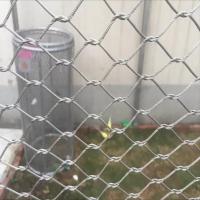 China Cost-Effective Stainless Steel Wire Rope Mesh with 1.6mm to 2.4mm Wire Thickness and 50mm to 100mm Mesh Eye Size for Plant Trellis for sale