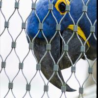 China Corrosion Resistant Stainless Steel Wire Rope Mesh for Fall Prevention with Customizable Size for sale