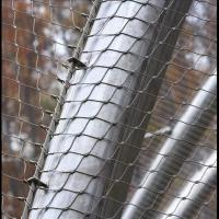 China 20*20mm Ferrule Stainless Steel 304/316/316L Wire Rope Plant Trellis with 50mm to 200mm Hole Size for Green Wall Mesh for sale