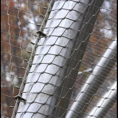 China 20*20mm Ferrule Stainless Steel 304/316/316L Wire Rope Plant Trellis with 50mm to 200mm Hole Size for Green Wall Mesh for sale