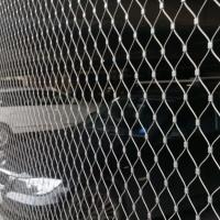 China High Strength Stainless Steel 304/316/316L Wire Rope Mesh with Customized Size for Anti-Fall and Plant Trellis for sale