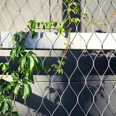China Corrosion Resistant Stainless Steel Wire Rope Mesh for Fall Prevention with Customizable Size for sale