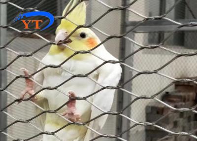 China 304 Grade 25x25mm 2.0mm Stainless Steel Aviary Netting for sale