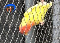 China Flexible Stainless Steel Bird 7x7 Aviary Wire Netting For Zoo Enclosure for sale