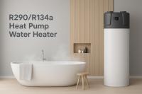 China 200L/270L/300L R290 R134a Heat Pump Water Heater For European Homes for sale