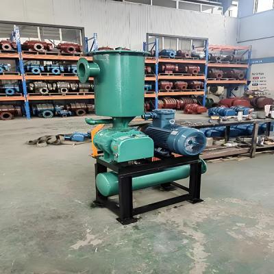 China High Efficiency Industrial Roots Air Blower For Sandblasting Facility Electroplating Plant for sale