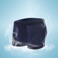 China 2xl 3xl Mens Mesh Boxer Shorts Black Underwear Breathable Summer U Shape Crotch for sale