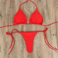 China Garter Sexy Lingerie Bra Set With Push Up Bra Swimwear Bikini String Bathing For Fat Women for sale