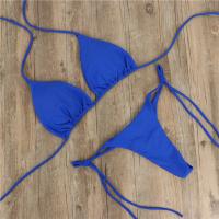 China Garter Sexy Lingerie Bra Set With Push Up Bra Swimwear Bikini String Bathing For Fat Women for sale