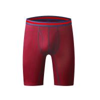 China Athletic Fitness Sportswear Mens Boxer Briefs Underwear Long Leg Compression Running for sale