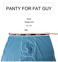 China Men'S Fitness Sportswear Modal Boxer Briefs Cotton Lengthened Legs Fat Guy Square Underwear for sale