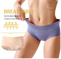 China Plus Size Period Panties Underwear Heavy Flow L-8XL 3 Layer Reusable Elastic Leak Proof for sale