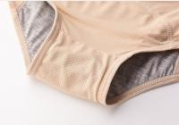 China Hot Sale Plus Size M-8XL 10 Colors Physiological Leak Proof Menstrual Panties 3 Layers Breathable Period Underwear for sale