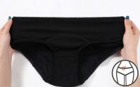 China Youth Menstrual Period Panties Underwear Ladies Quick Dried Undies Nylon Washable Menstrual Panties for sale