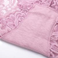 China Womens High Waisted Lace Panties Plus Size Sexy Underwear Brief Hipster Panties for sale