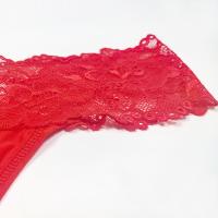 China Nylon Hipster Panties With Lace Ultra Soft Sexy Stretch Lace Briefs See Through Knickers Undies for sale