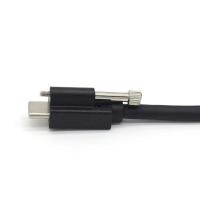China USB-C Cable with Screw Locking for 100W Power Delivery and 10Gbps Data Transfer for Industrial Cameras for sale