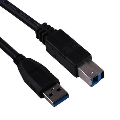 China Customized USB 3.1 High Speed a Male to B Male USB Cord Top Quality Usb Printer Cable for sale