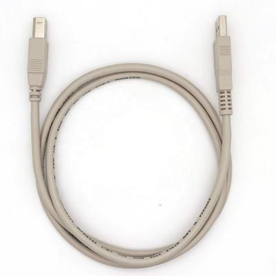 China USB 2.0 a Male to B Male Cable Printer/Scanner/Earphone/Barcode Scanner Cable for sale