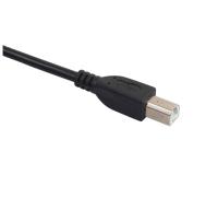 China USB 2.0 AM to BM Cable with 480Mbps Data Transfer, Tinned Copper Conductor, and Customizable Length for Printers and Scanners for sale