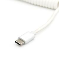 China USB C to USB C Soft TPU Jacket Spiral Spring Fast 3A Charging Cable for sale