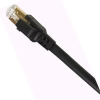 China FTP Shielded Cat8 Ethernet Cable with 40Gbps Speed and 2000MHz Frequency for High-Speed Networking for sale