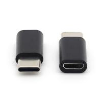 China Brand New Micro-USB Female to USB-C Male OTG Adapter Power Supply Adapter for Laptop Use AC Output for sale