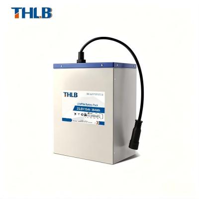 China 25.6V 15AH LiFePO4 Solar Street Light Lithium Battery with BMS Protection for Outdoor Lighting for sale