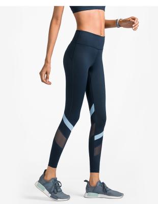 China Fashion Mesh Splicing Collision Color Tight Fit Leggings for sale