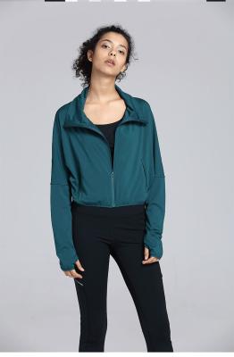 China Women Thumb Hole Sports Hoodie Zip Front Sweatshirt 210g Polyester Spandex for sale