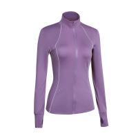 China Women's Winter Sports Hoodie 260g Stand Up Collar Sweatshirt 4XL Custom Logo for sale