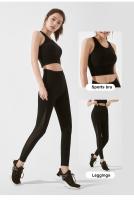 China High Impact Sports Bra 230g Mesh Back Tight Fit Women XS-5XL OEM Custom for sale