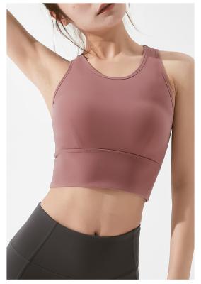China High Impact Sports Bra 230g Mesh Back Tight Fit Women XS-5XL OEM Custom for sale
