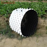 China Root Growth White 0.9mm HDPE Plastic  Greenhouse Air Pruning Buckets for sale