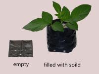 China Hydroponic Growing System Plastic Grow Bags Soft Generate Peony Flower Nursery Bag for sale