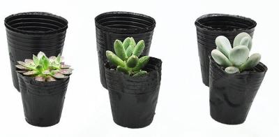 China Hydroponic Soft Plastic Plant Pot Watercress Pot  Light Weight for sale