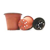 China Bicolor Plastic Succulent Plants Flower Pot for sale