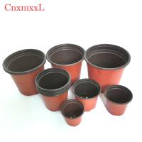China Double-color plastic flower pot plastic plant pot plastic flower container in quality assurance. for sale