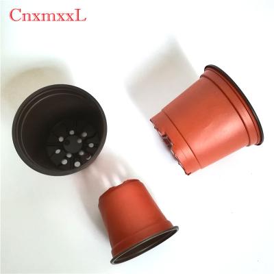 China Parlor Palm 5.5cm Opening Dia Mini Plastic Pots Indoor Plant Pots 5cm High for sale